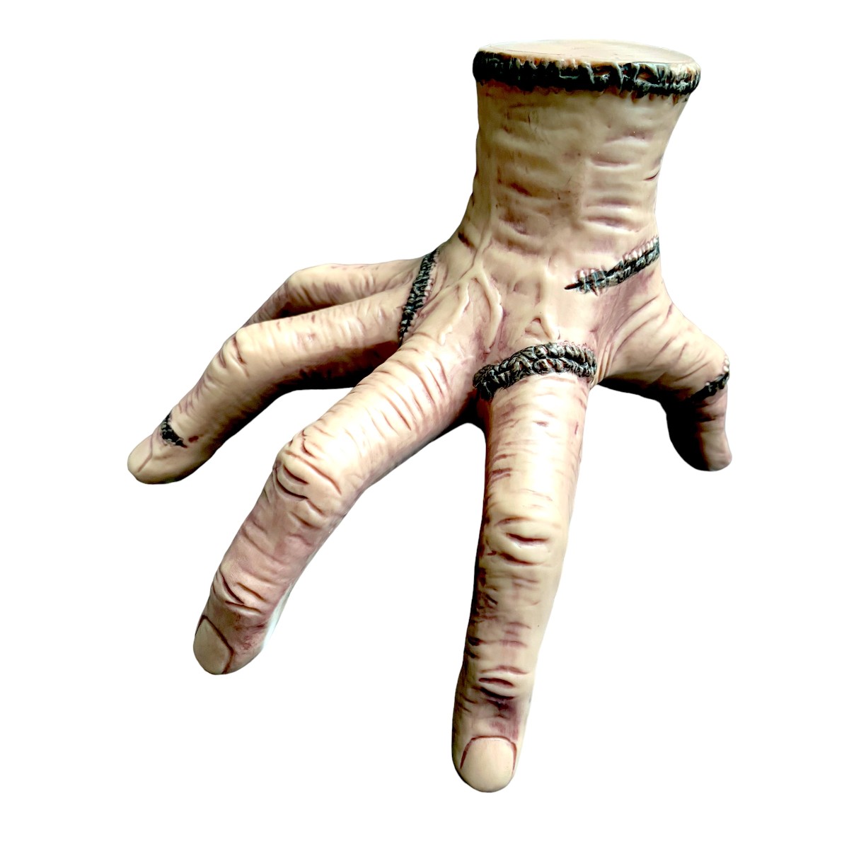 del-sol :::: Party & Fun